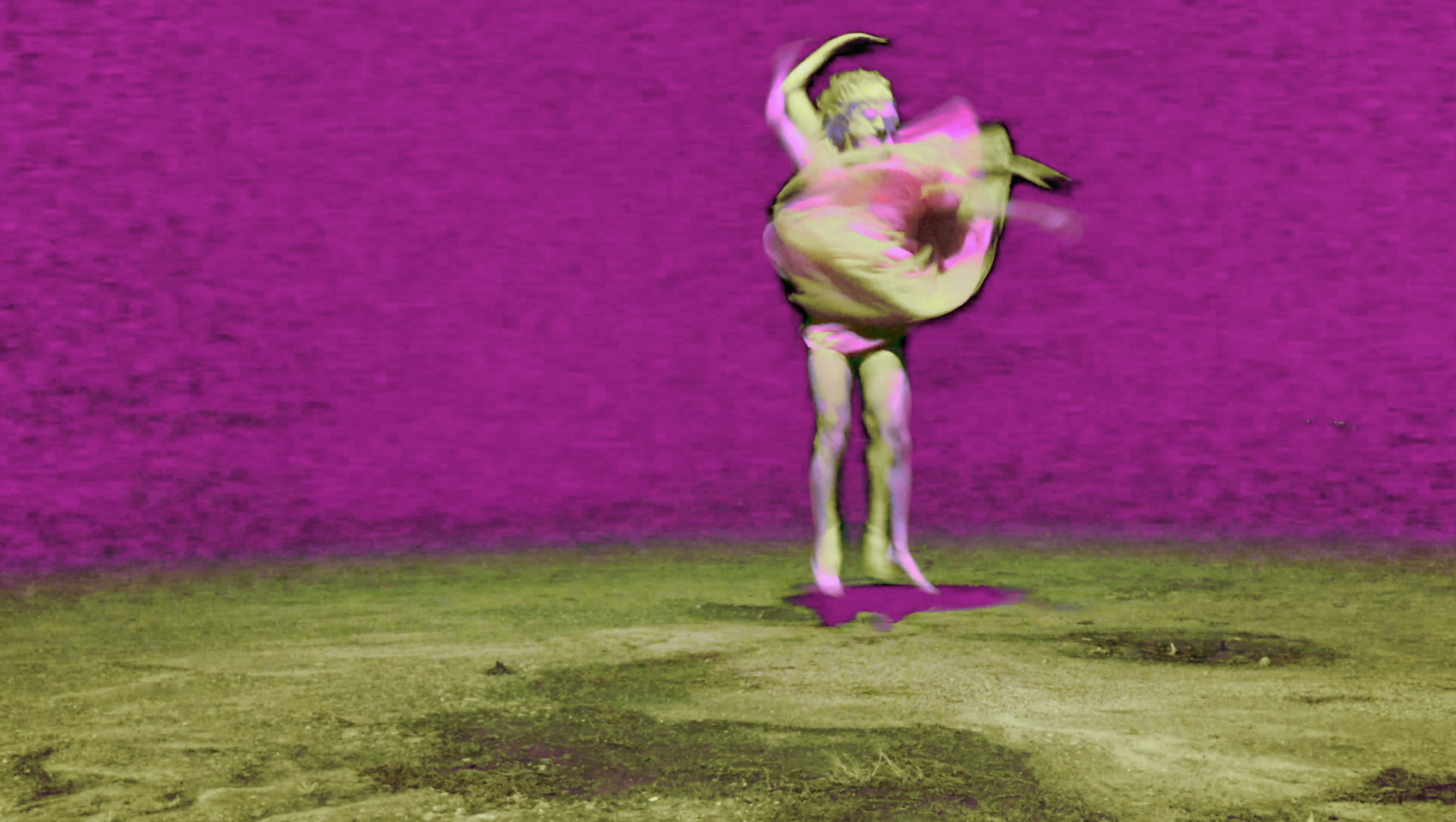 pink-moment-collections-m-rosetta-hunter-art-gallery